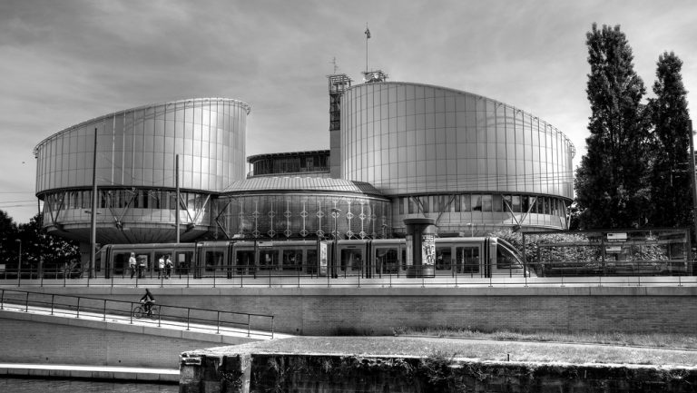 A Brief History of the European Court of Human Rights | EachOther